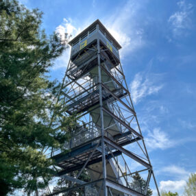 Minnesota Blogger Sharing What to Do and How to Save