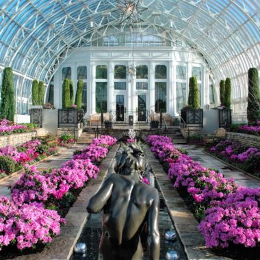 Minnesota Blogger Sharing What to Do and How to Save