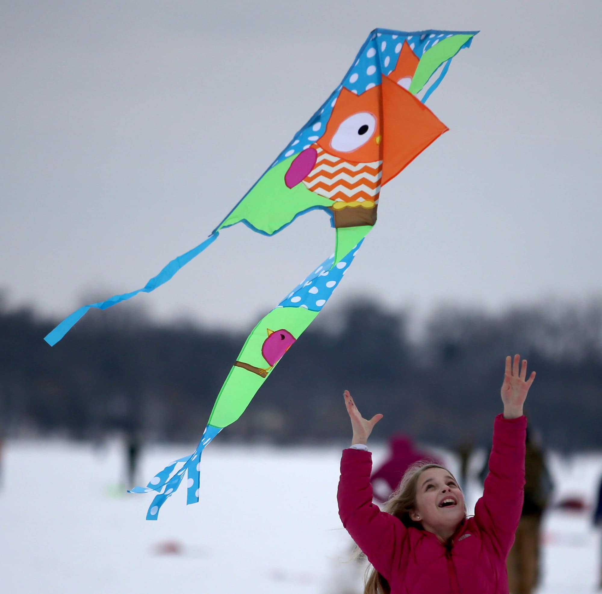 Lake Harriet Winter Kite Festival - Thrifty Minnesota