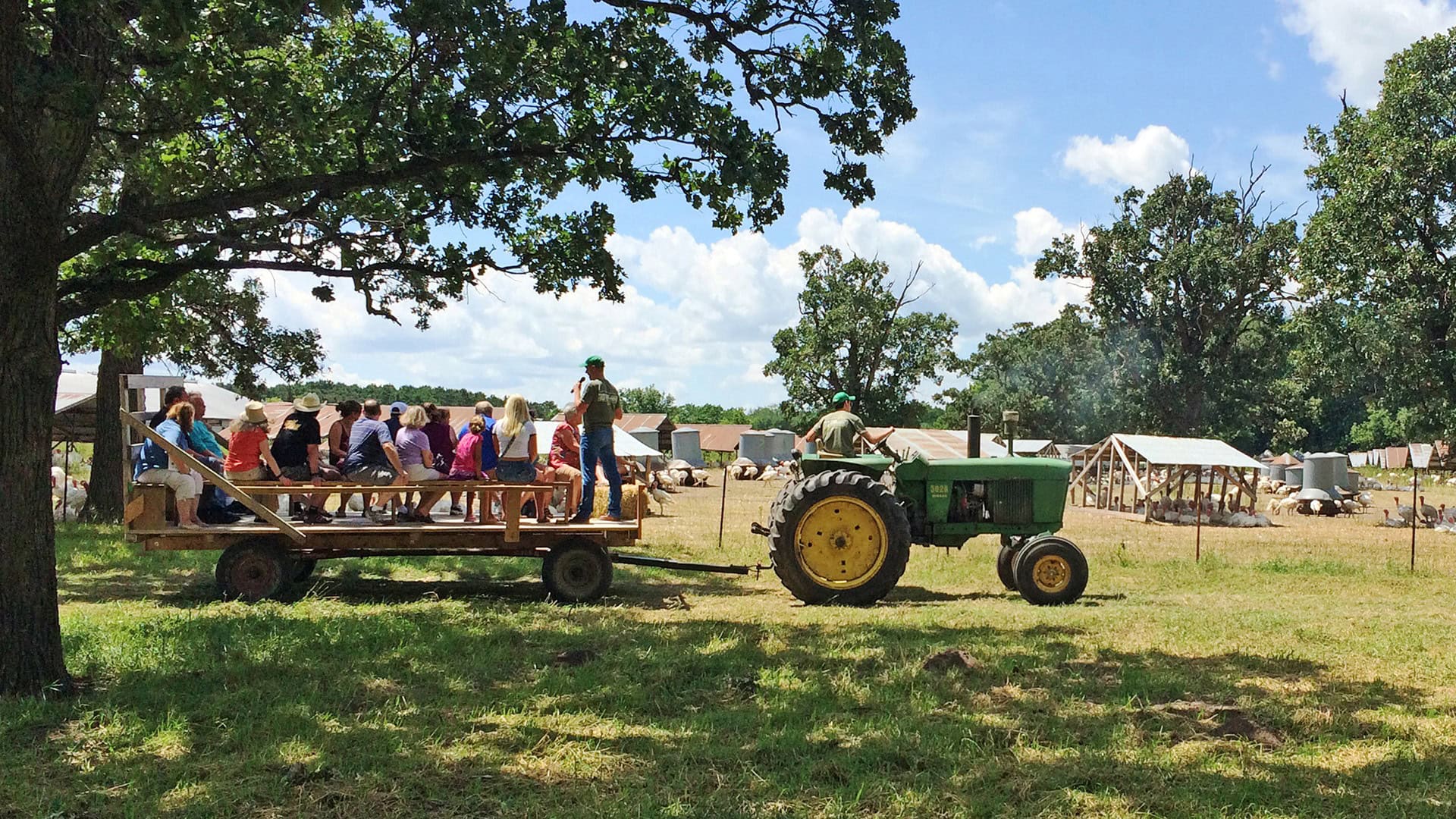 Summer Farm Tour at Ferndale Market Near Cannon Falls - Thrifty Minnesota
