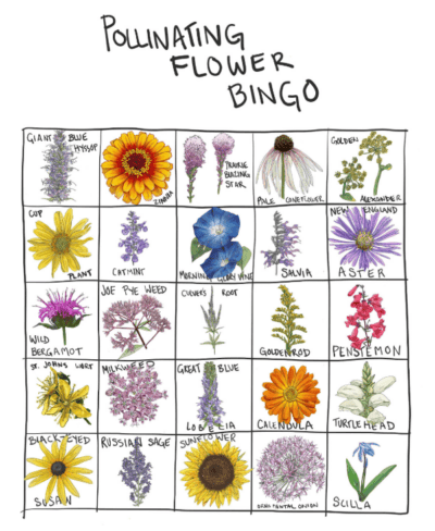 Free First Saturday at Home: Plant Party (Walker Art Center) - Thrifty ...