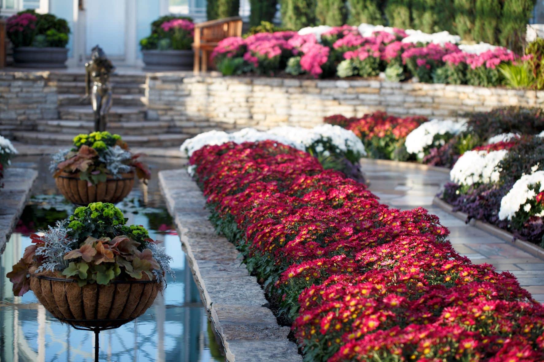 Como Fall Flower Show - Thrifty Minnesota