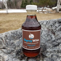 Maple Syrup Events in Minnesota - Thrifty Minnesota