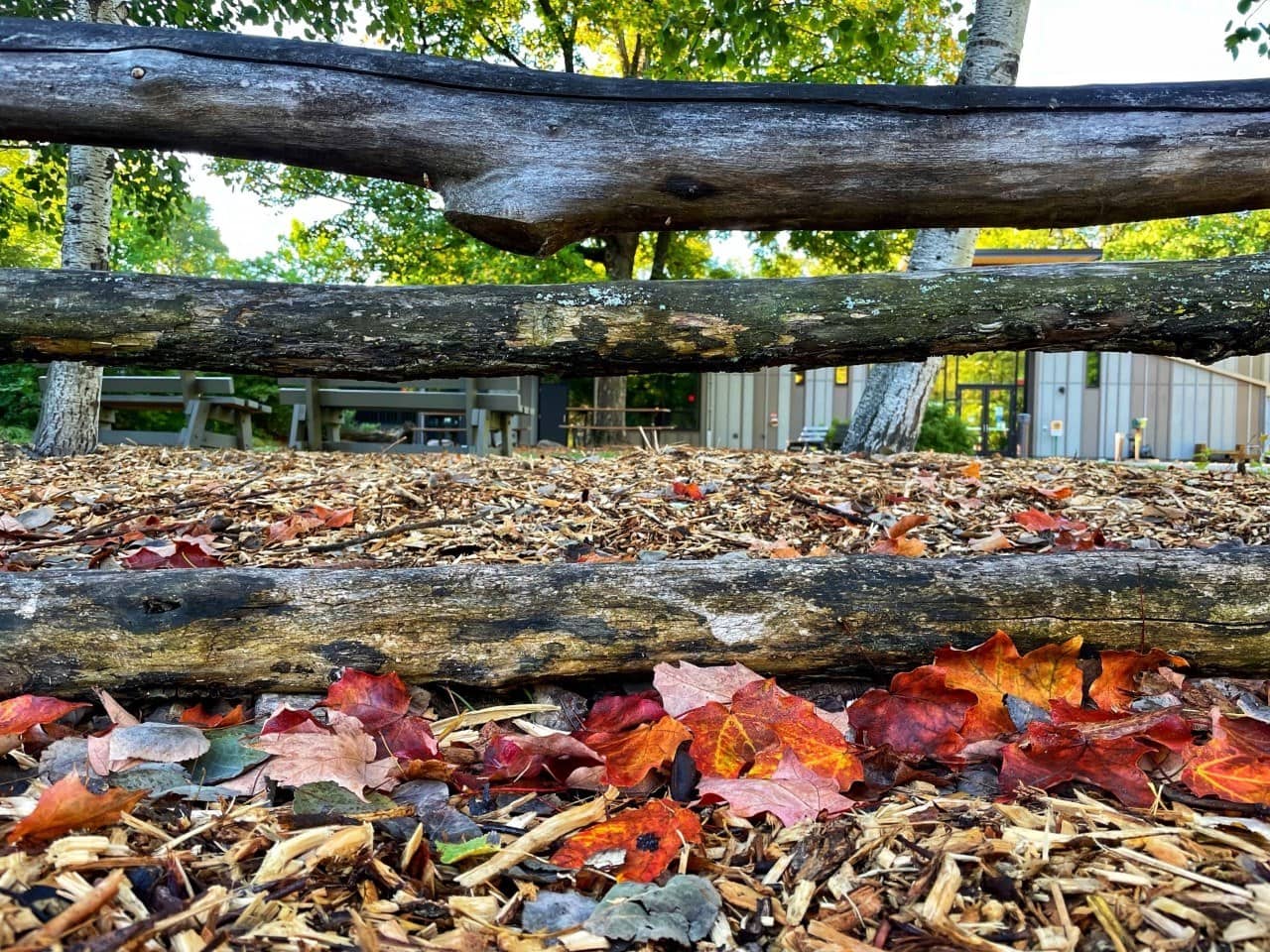 October Celebration at Eastman Nature Center - Thrifty Minnesota
