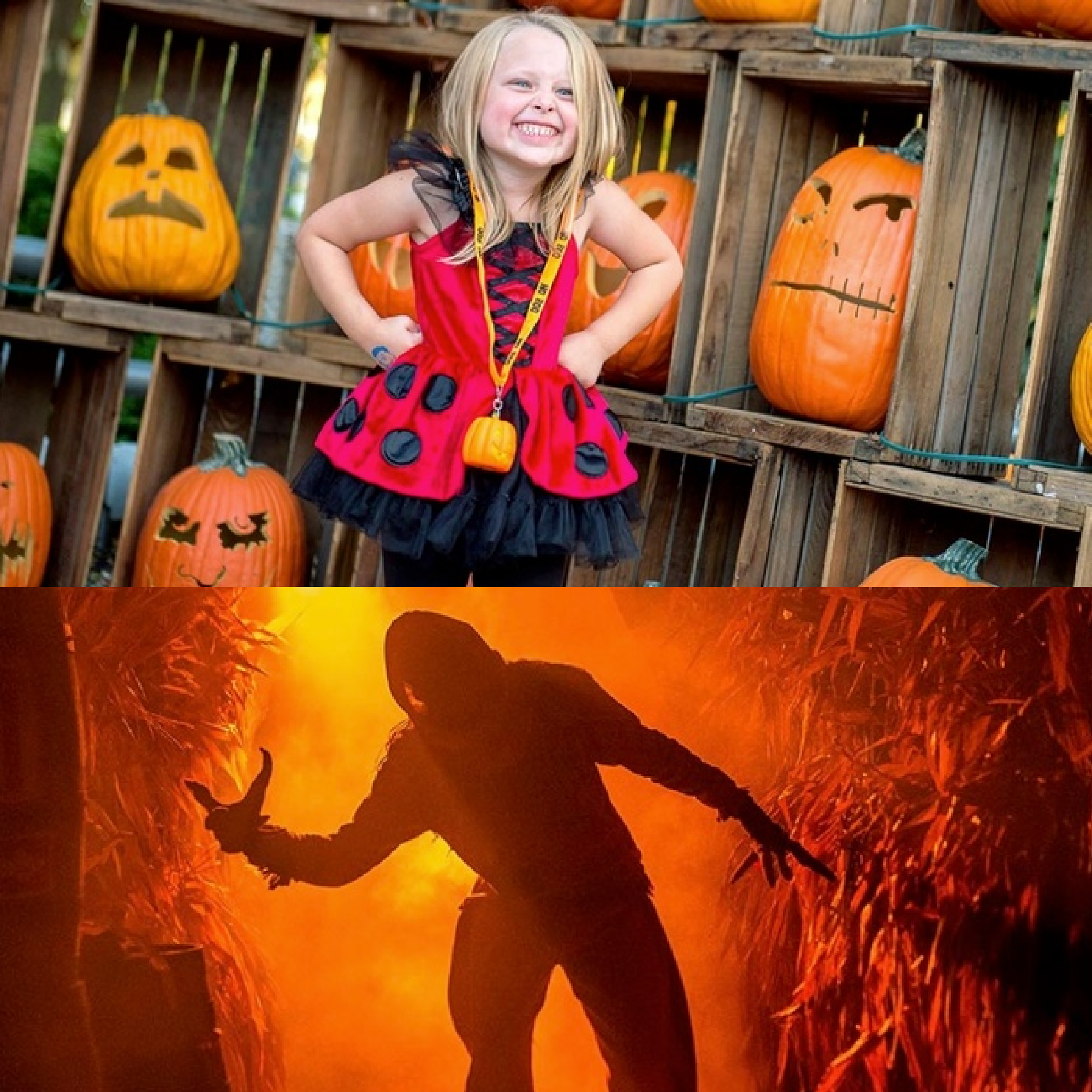 ValleyScare Discount Tickets & Coupons 2025 - Thrifty Minnesota