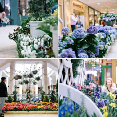 Galleria Floral Experience with Flowers by Bachman's - Thrifty Minnesota