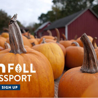 Minnesota Blogger Sharing What to Do and How to Save