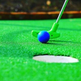 Wheelchair-Accessible Mini Golf (Cambridge, MN) – Discount Admission!