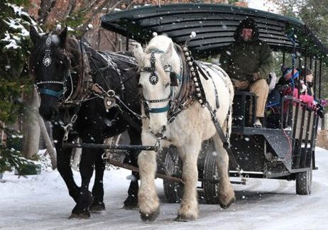 FREE Wonders of Winter Outdoor Event at Maple Grove's Central Park ...