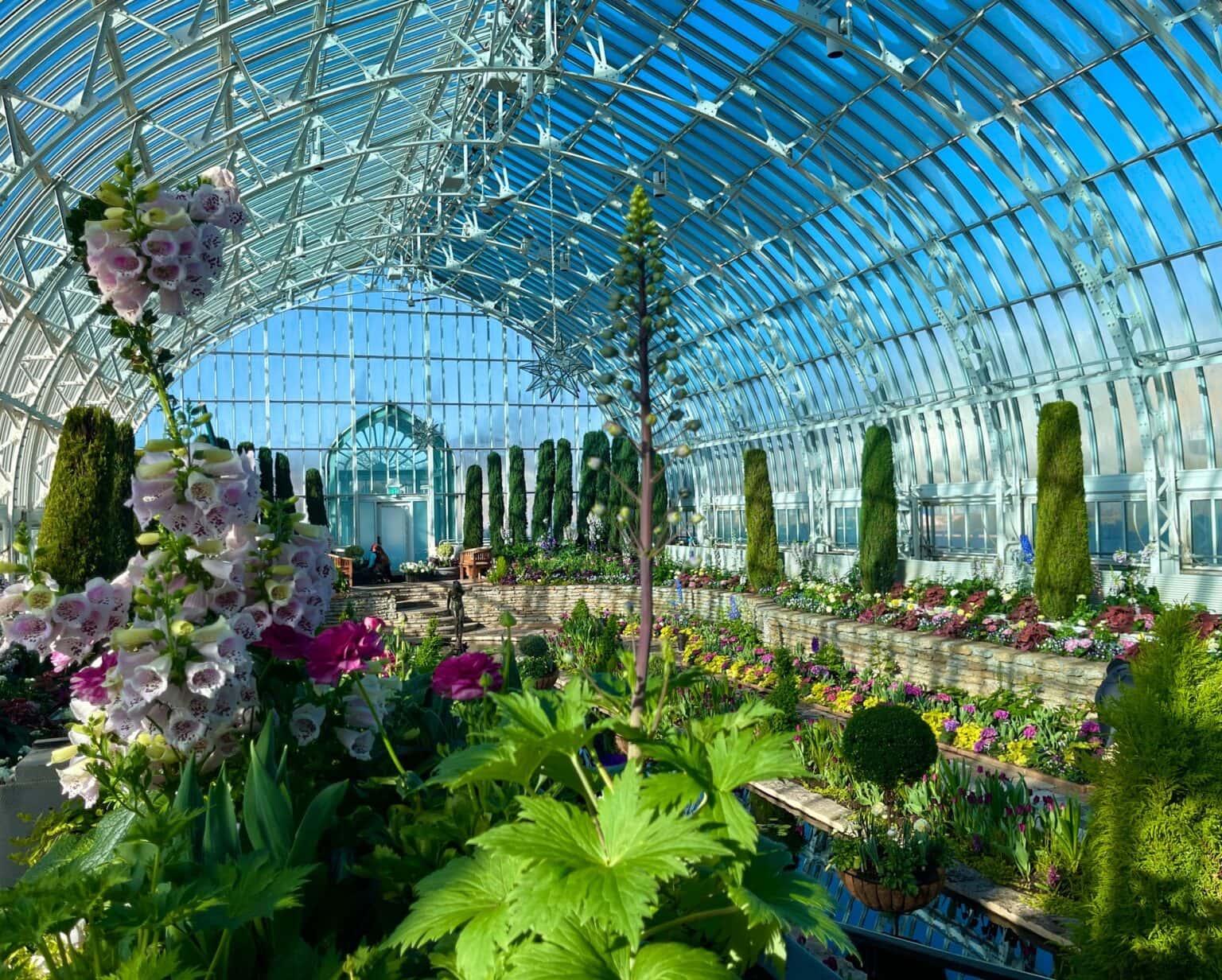 Como Park Conservatory Spring Flower Show - Thrifty Minnesota