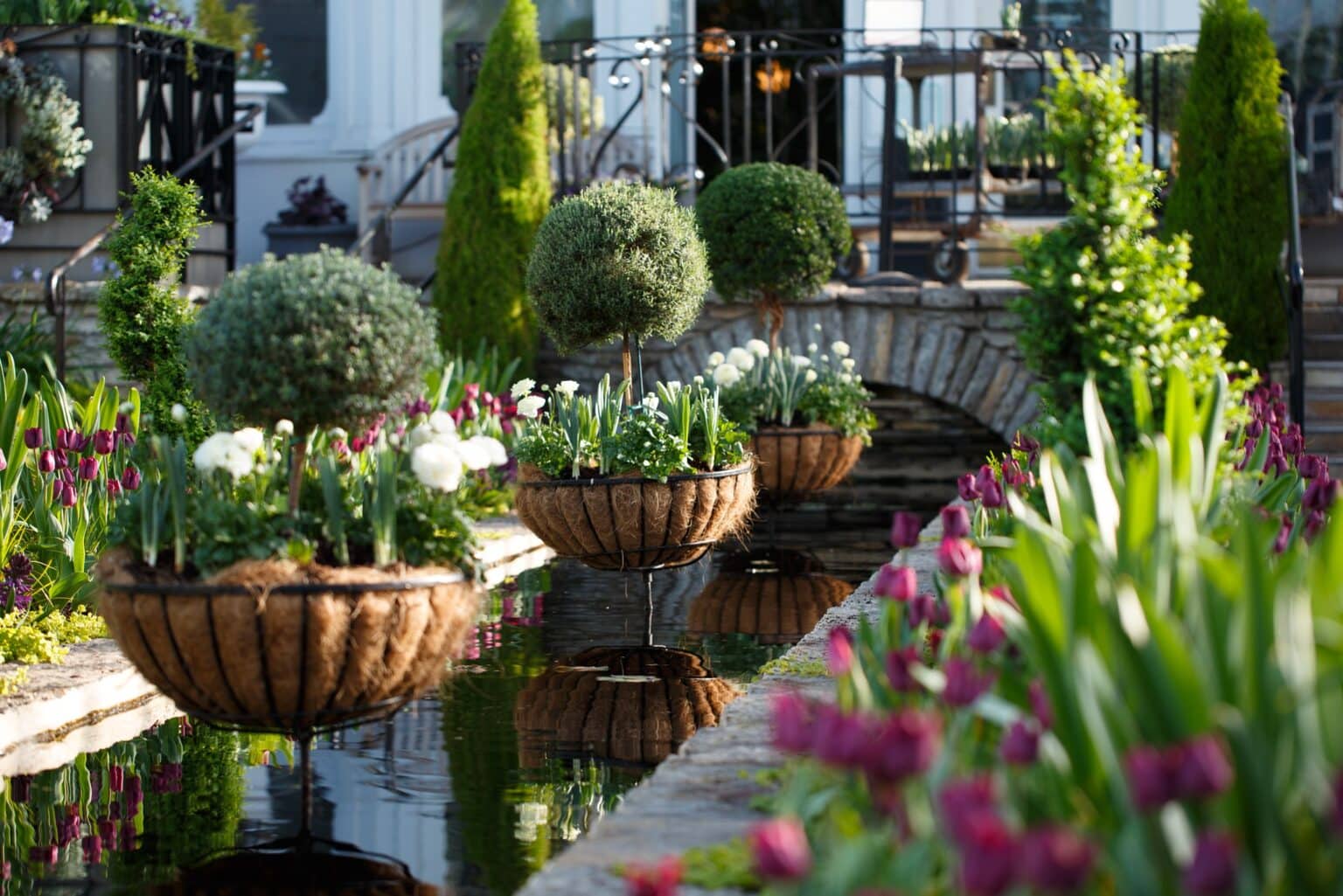 Como Park Conservatory Spring Flower Show - Thrifty Minnesota