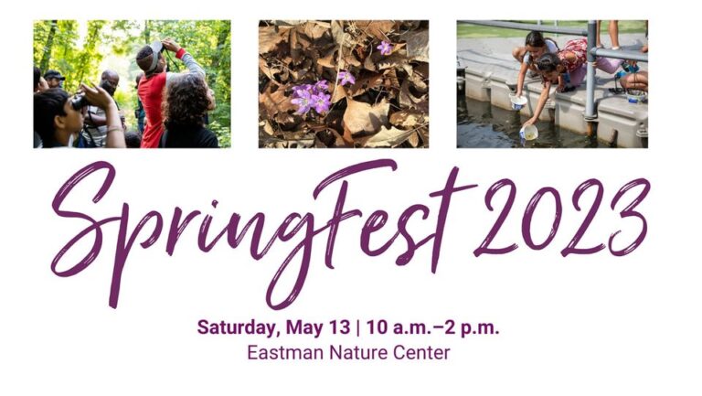 SpringFest Event and Activities - Thrifty Minnesota