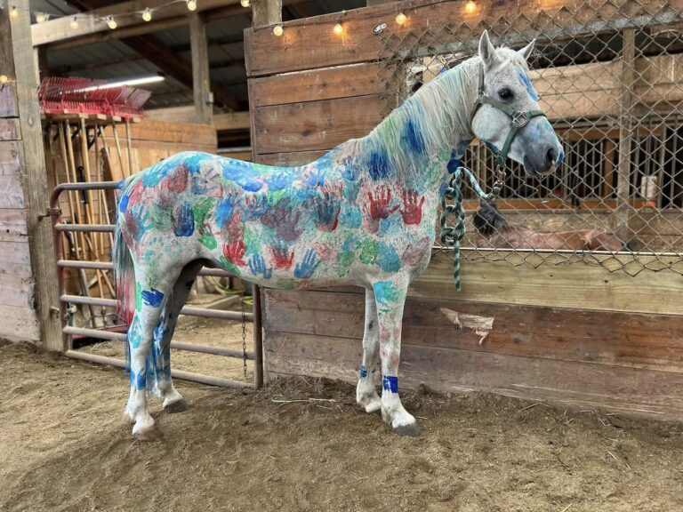 Autism Family Friendly Day at the Farm - Thrifty Minnesota