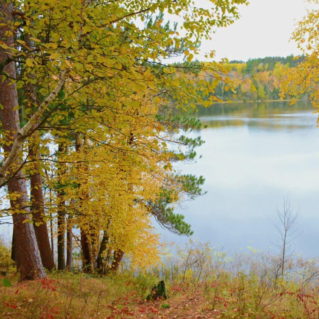 Fall Programs and Events in Minnesota State Parks and Trails + Fall ...