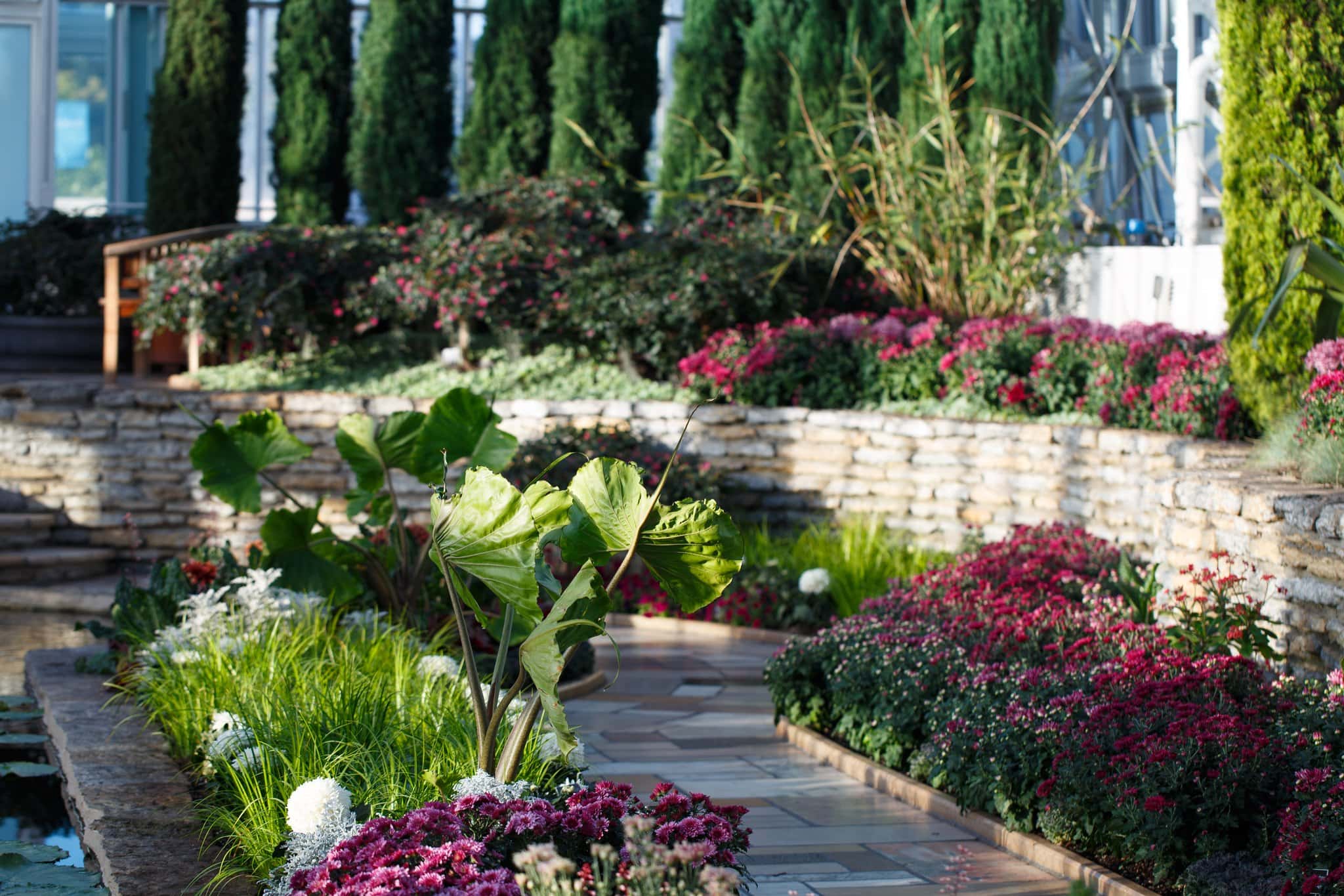 Como Fall Flower Show - Thrifty Minnesota