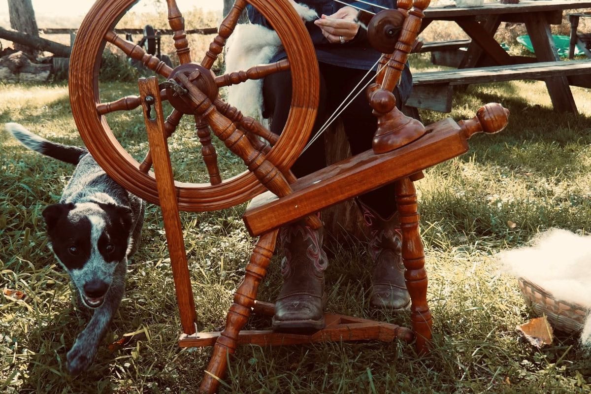 Wooly Deals at the Minnesota Fiber Festival - Thrifty Minnesota
