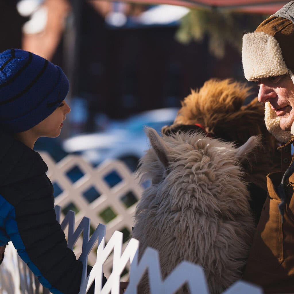 Christmas in Germany at the Germanic- American Institute - Thrifty ...
