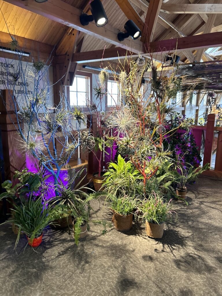 Spring Flower Show at the Minnesota Landscape Arboretum - Thrifty Minnesota