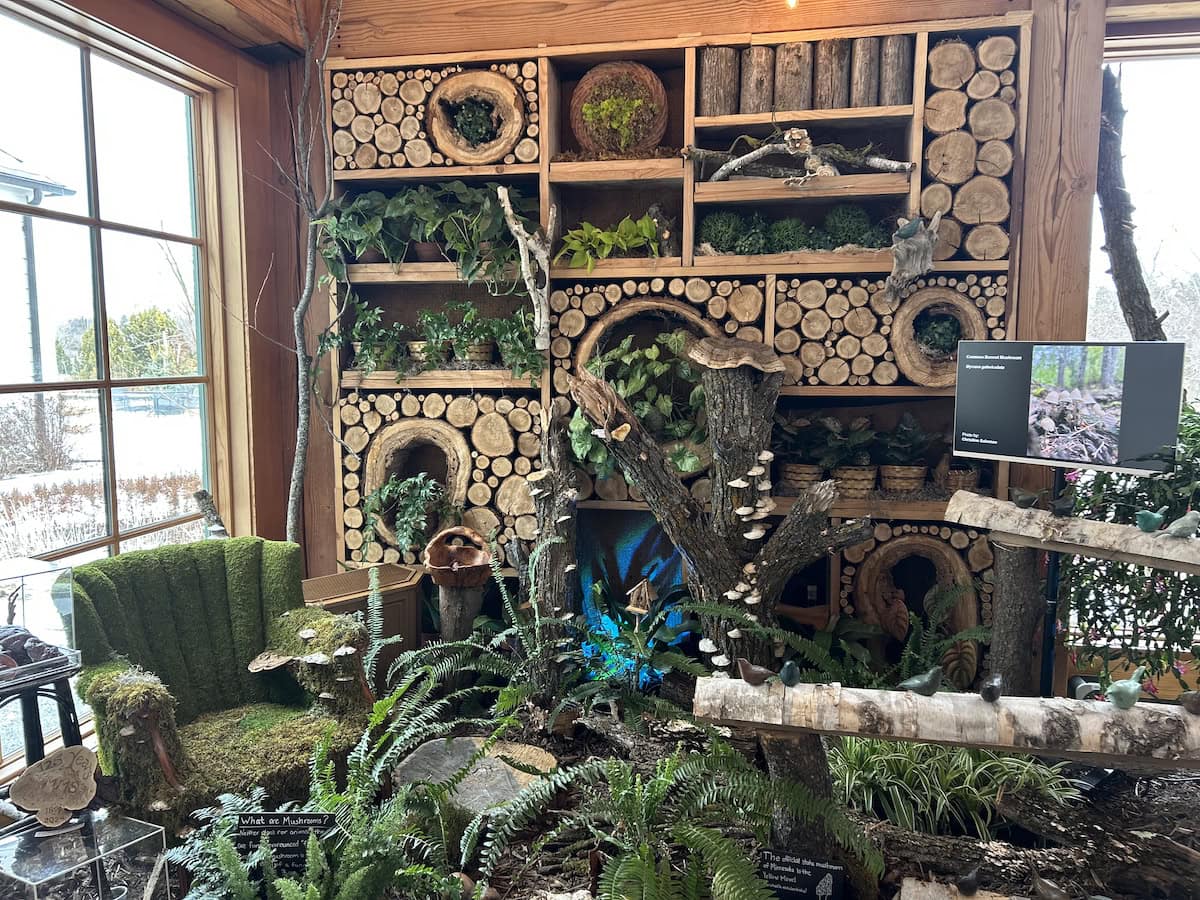Spring Flower Show at the Minnesota Landscape Arboretum - Thrifty Minnesota