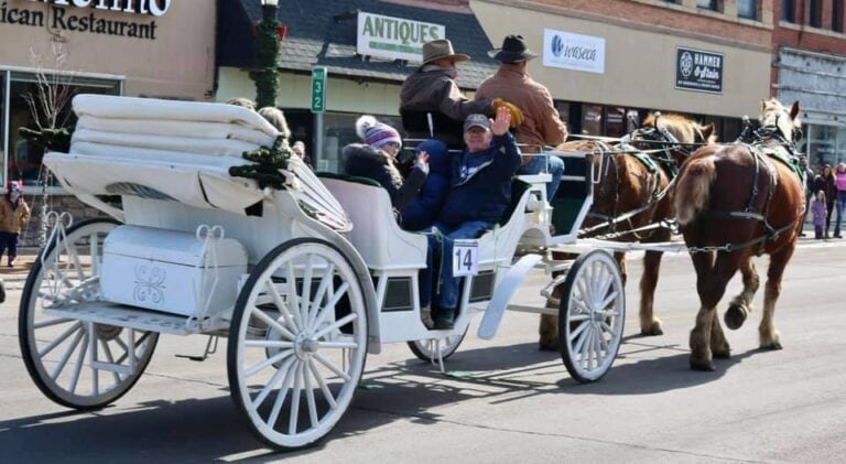 Sleigh and Cutter Festival in Waseca - Thrifty Minnesota