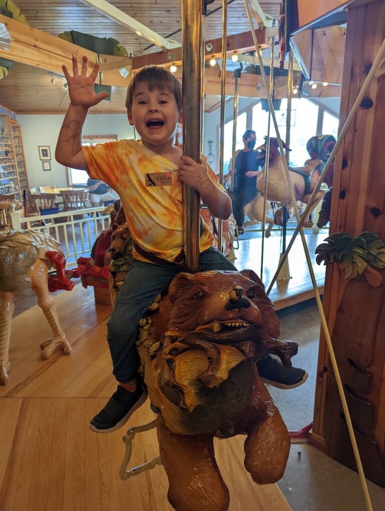LARK Toys Carousel & Toy Store in Kellogg - Thrifty Minnesota
