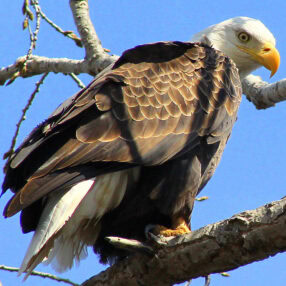 Minnesota Blogger Sharing What to Do and How to Save