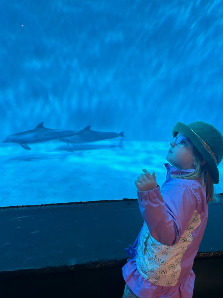 Spring is here at the Minnesota Zoo + Ticket Giveaway - Thrifty Minnesota