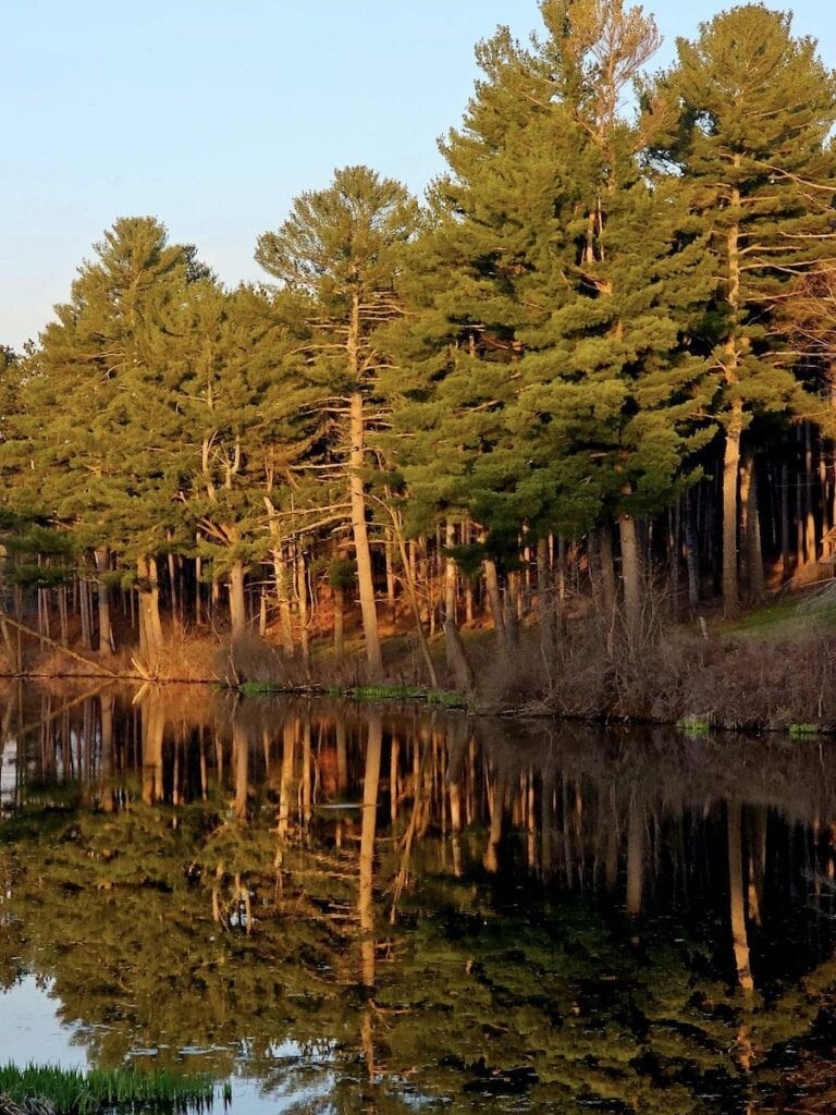 Free Pass Day at Big Rock Creek in St. Croix Falls - Thrifty Minnesota