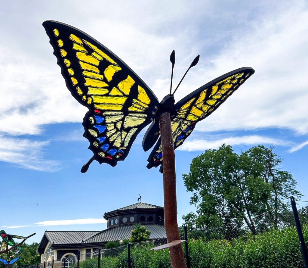Glass in Flight 2 Open Now through Labor Day at Como Park Zoo and ...