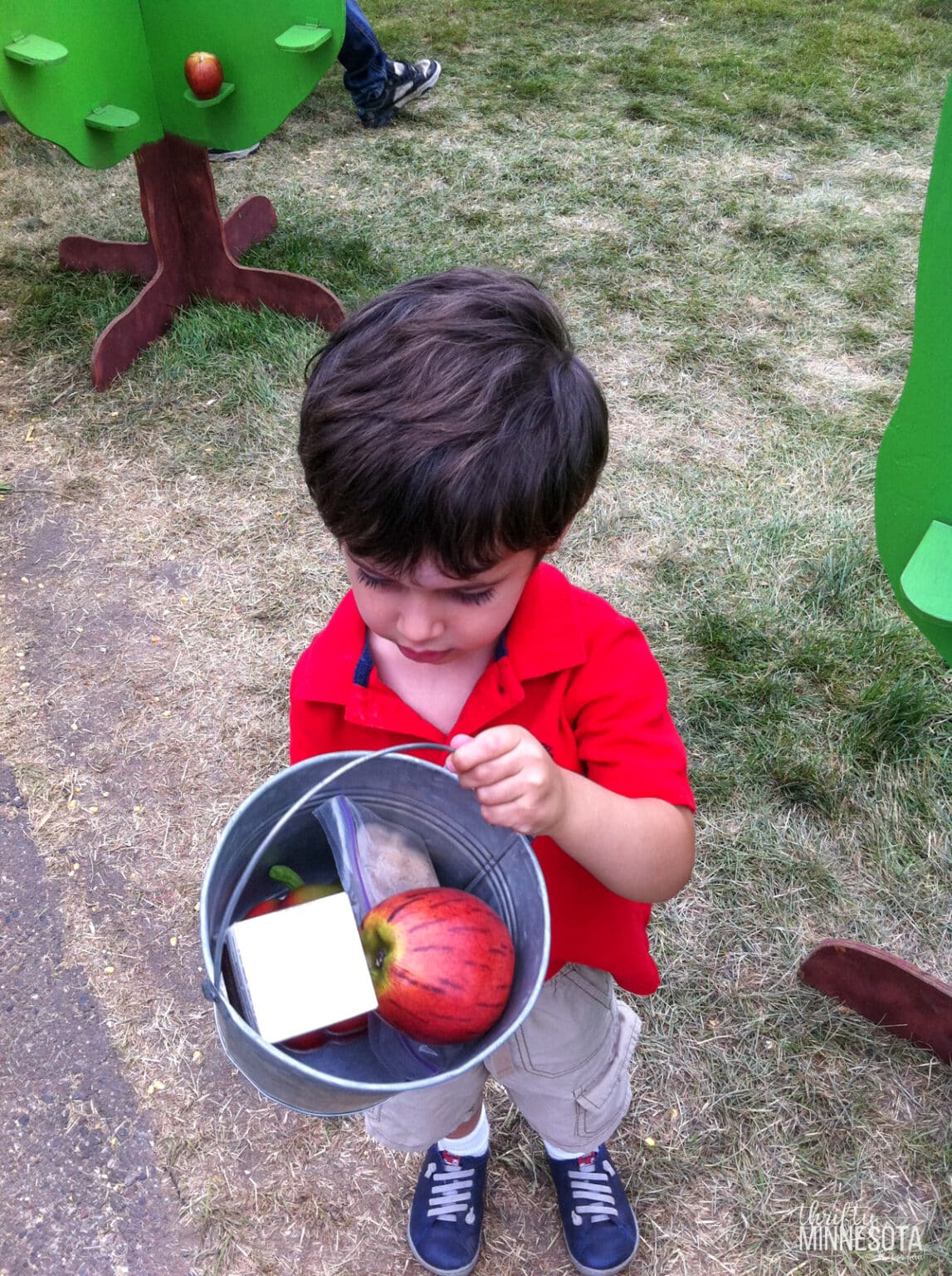 Top Minnesota State Fair Activities with Kids - Thrifty Minnesota