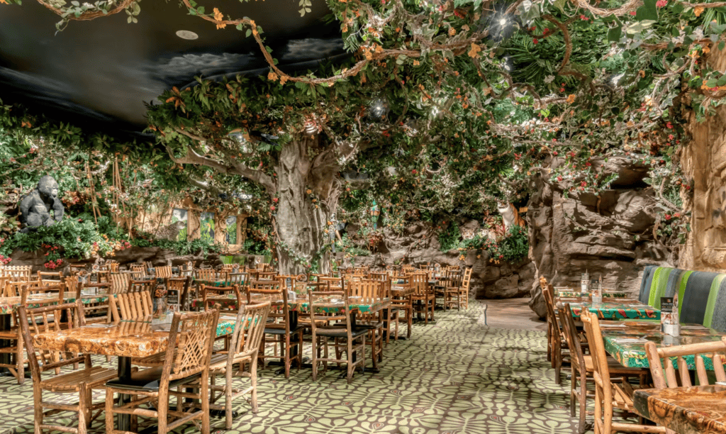 Rainforest Cafe Discount Gift Card - Thrifty Minnesota