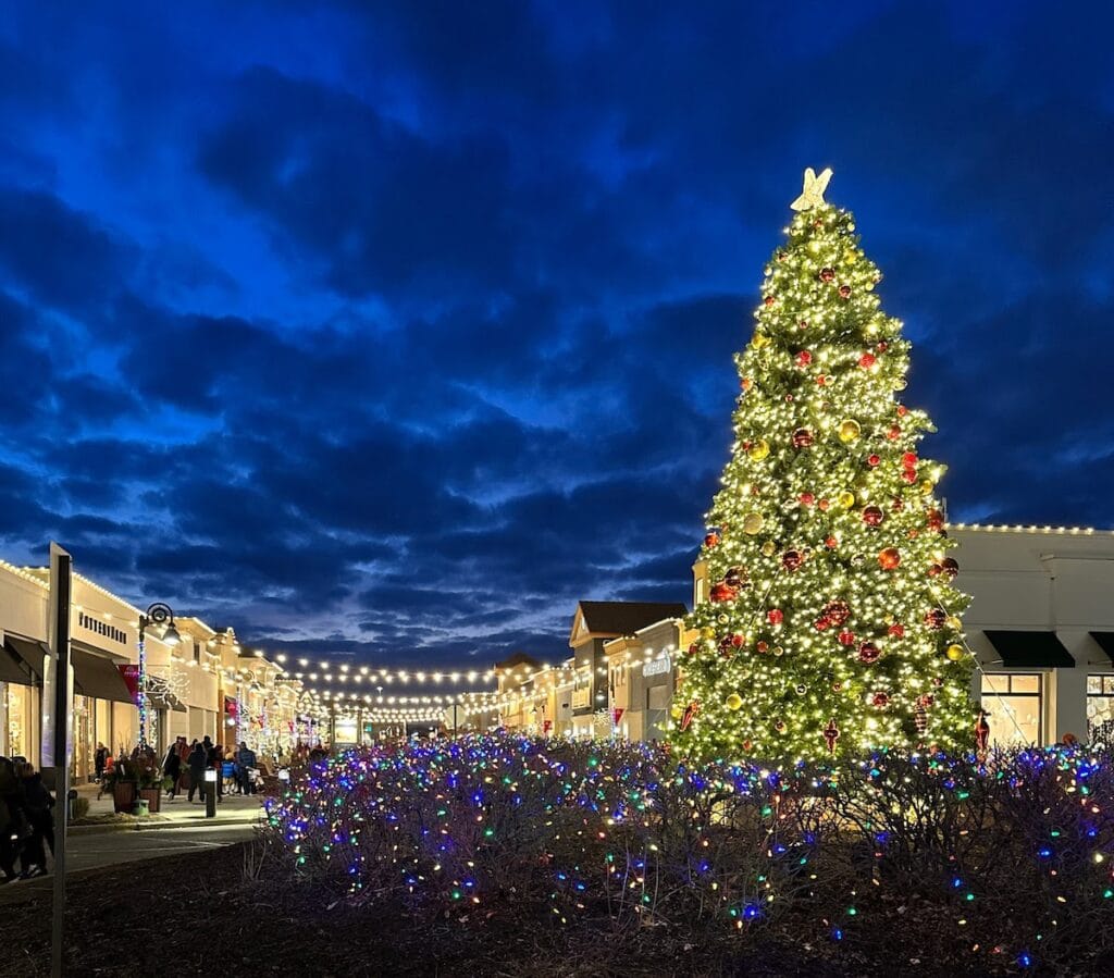 Kick Off the Holidays with Minnesota Tree Lighting Celebrations and ...