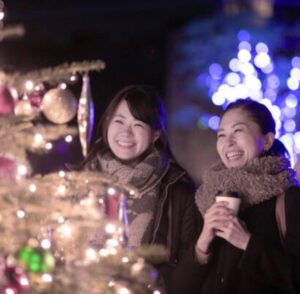 Sever's Holiday Lights 2025 - Thrifty Minnesota