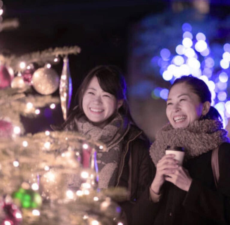 Sever's Holiday Lights 2025 - Thrifty Minnesota