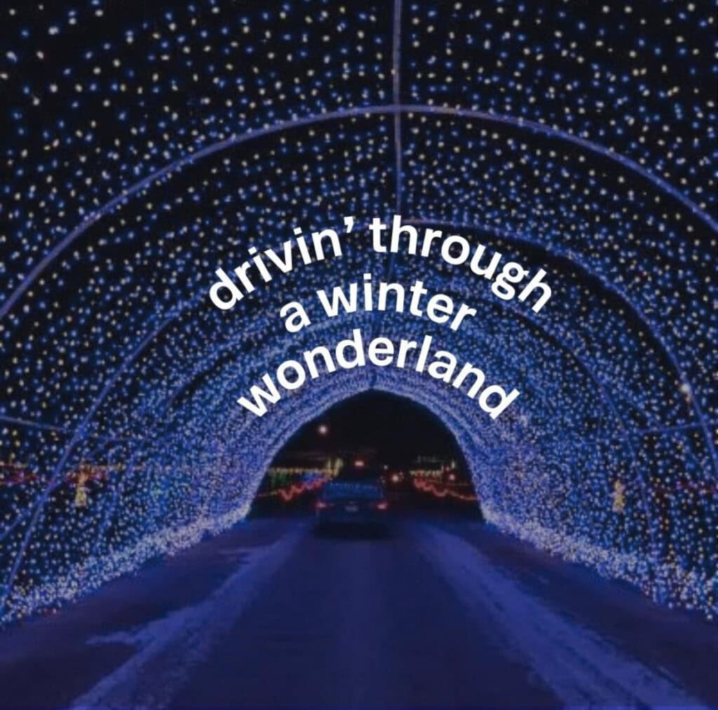 Sever's Holiday Lights 2025 - Thrifty Minnesota