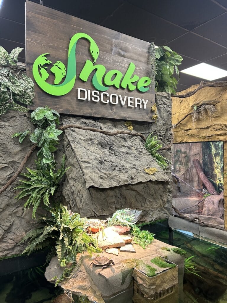 Snake Discovery in Maplewood Interactive Fun - Thrifty Minnesota