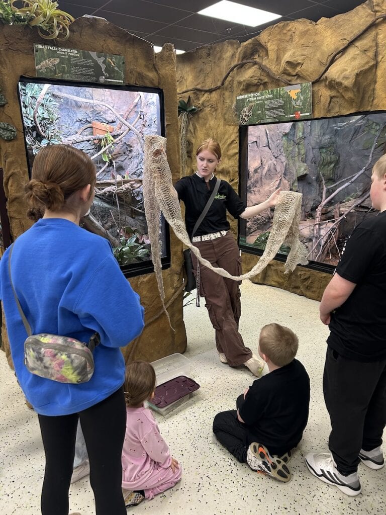 Snake Discovery in Maplewood Interactive Fun - Thrifty Minnesota