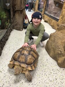 Snake Discovery in Maplewood Interactive Fun - Thrifty Minnesota