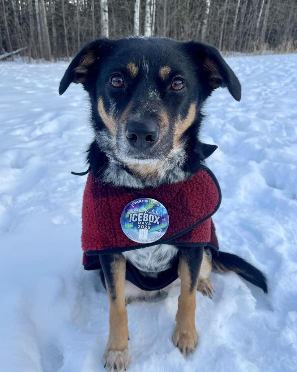 Ice Box Days in International Falls - Thrifty Minnesota