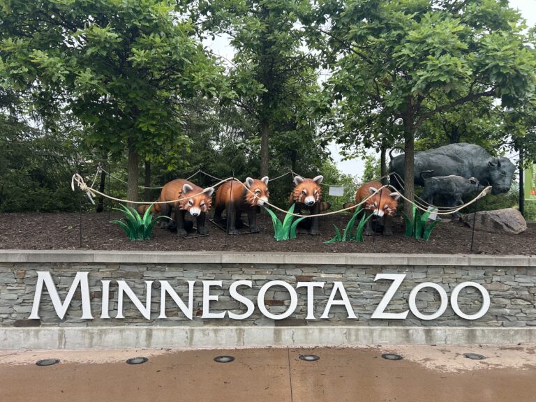 Minnesota Zoo Red Panda Forest - Thrifty Minnesota