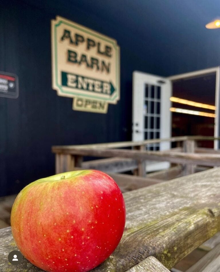 Our Favorite Apple Orchards in Minnesota - Thrifty Minnesota