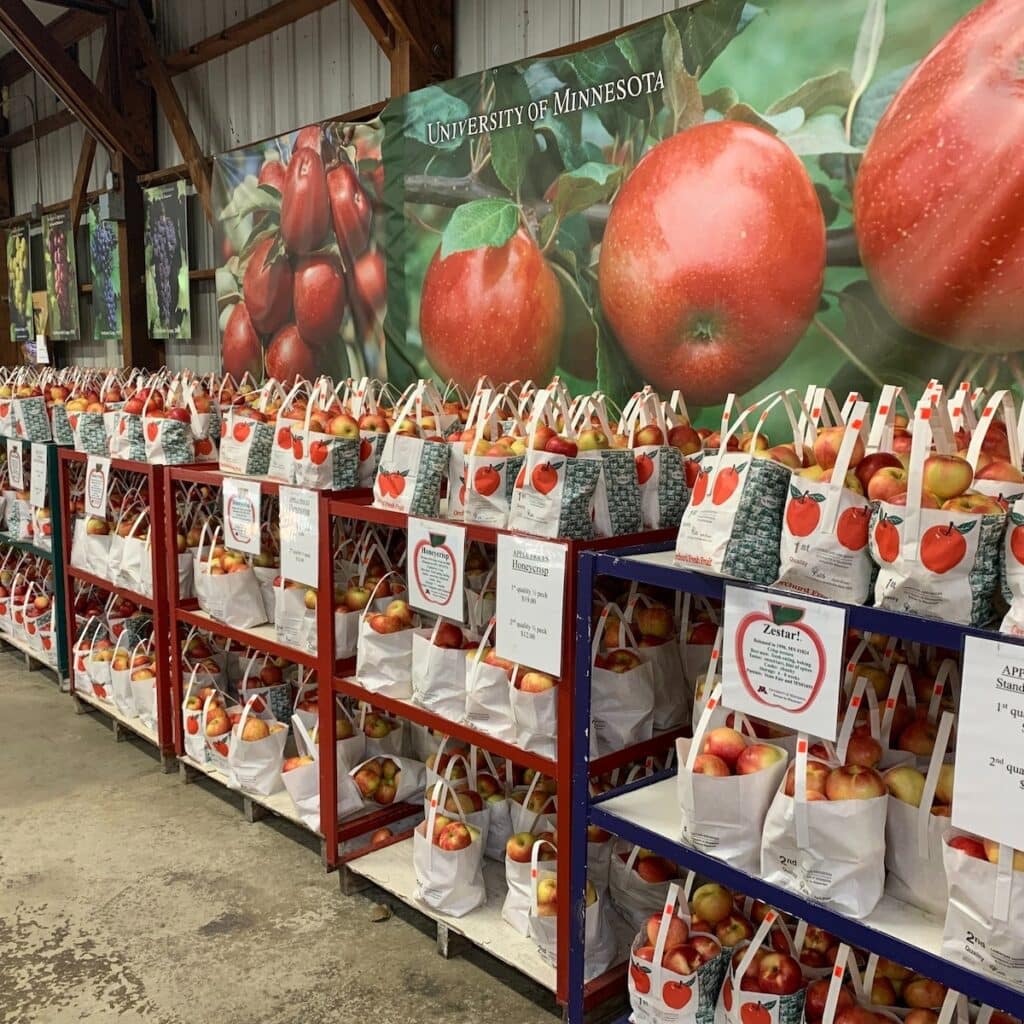 Our Favorite Apple Orchards in Minnesota - Thrifty Minnesota