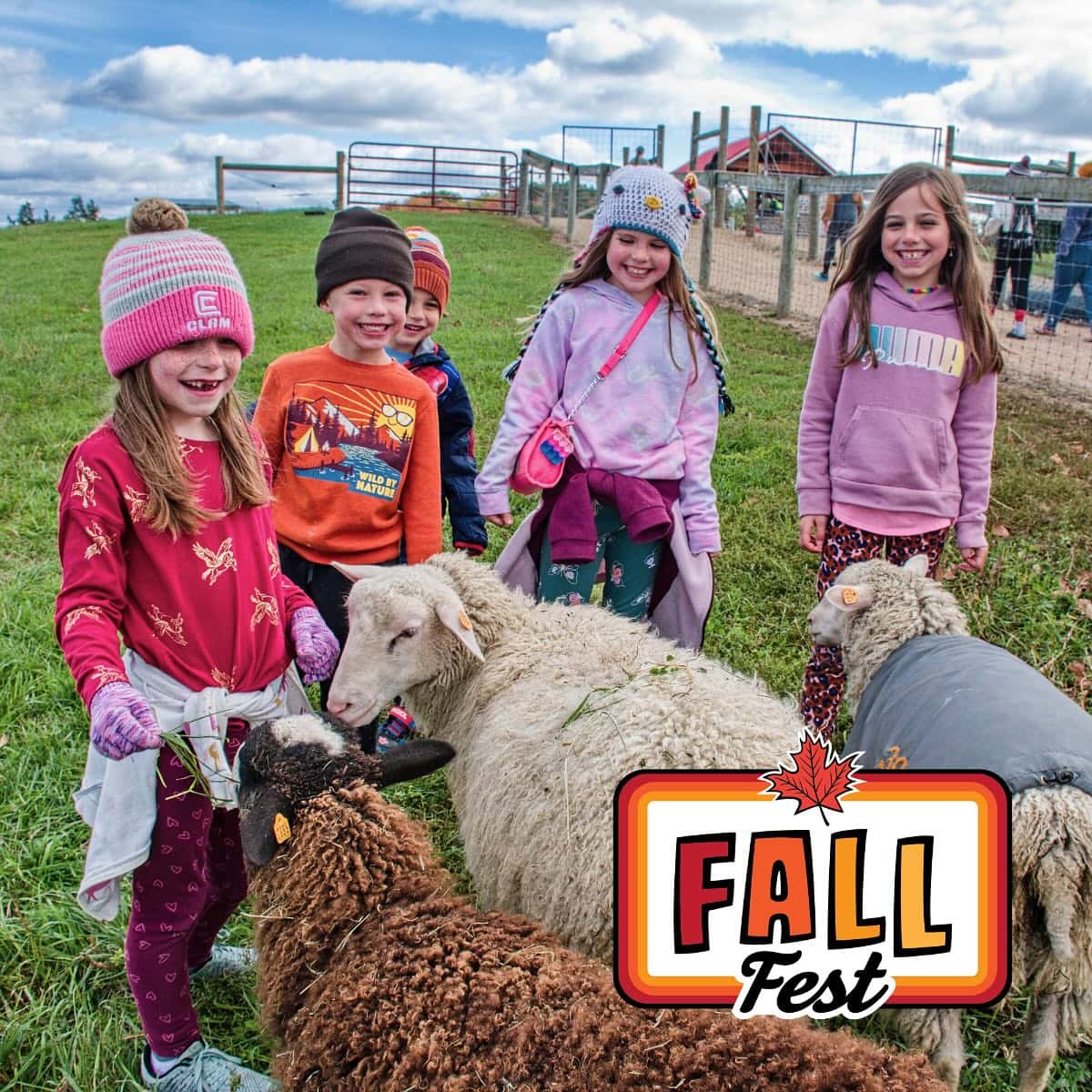 Fall Festivals in Minnesota - Thrifty Minnesota