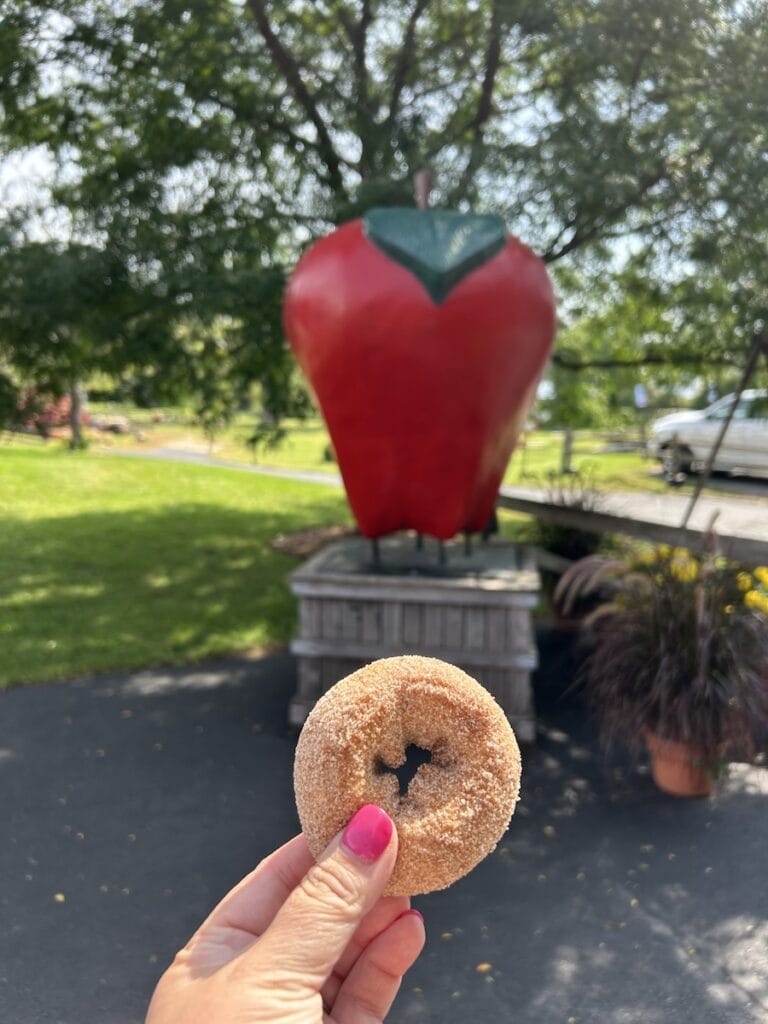 Our Favorite Apple Orchards in Minnesota - Thrifty Minnesota